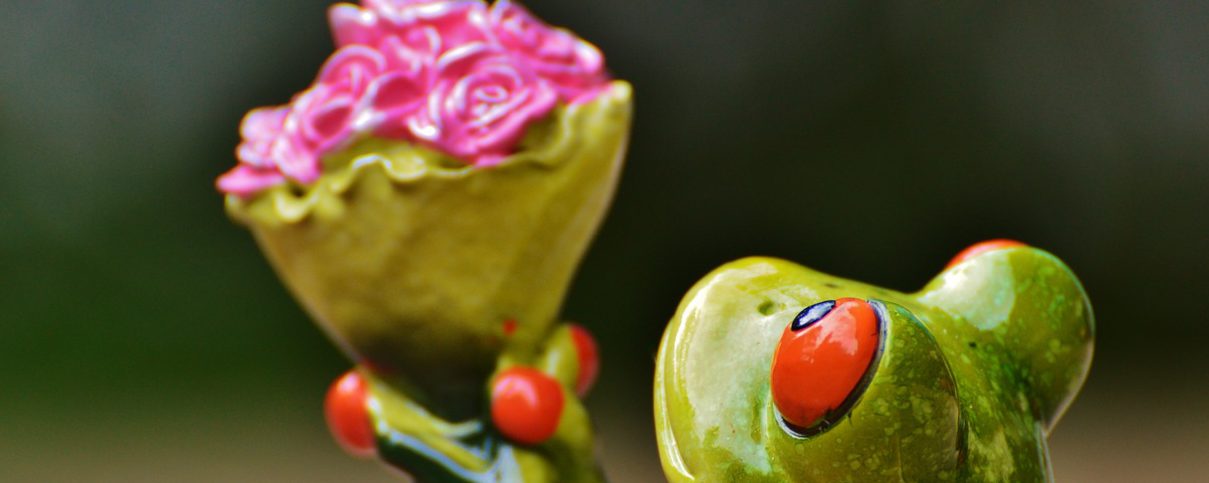 i-beg-your-pardon-excuse-me-frog-sweet – Discover The Practice ...